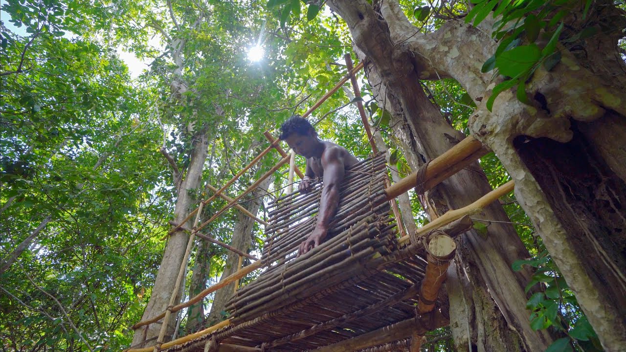 How To Build the Most Beautiful Tree House in the Jungle by Ancient ...