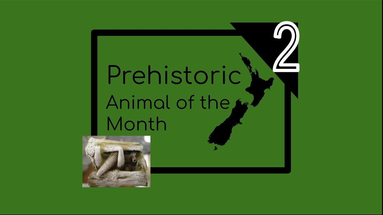 Prehistoric New Zealand - Prehistoric Animal of the Month Episode 2 ...