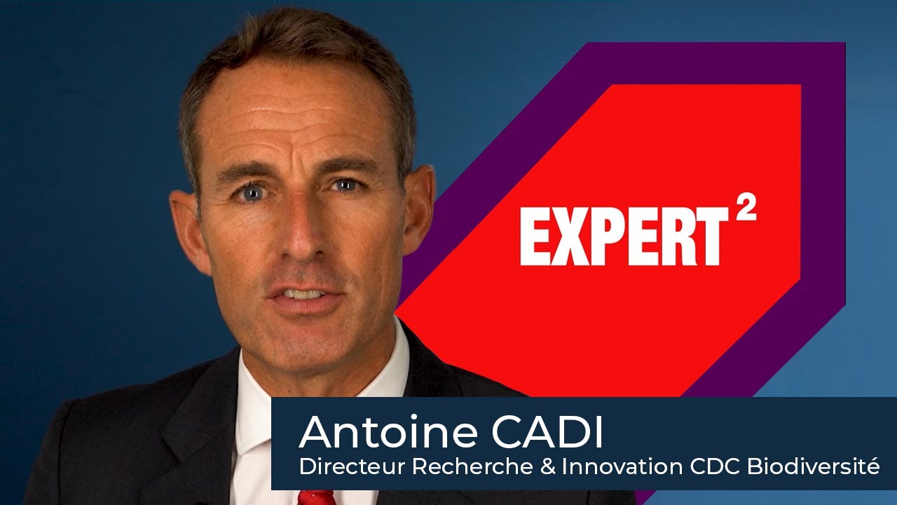 Expert² : Antoine Cadi, « Intégrer la biodiversité dans la relance Post ...