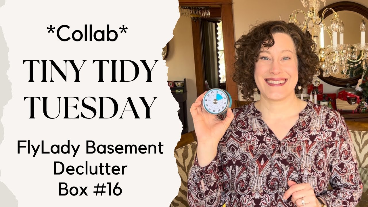 Tiny Tidy Tuesday Collab | Box #16 | FlyLady Babysteps Basement ...