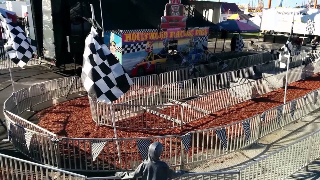 Florida State Fair 2016 - Hollywood Racing Pigs - YouTube