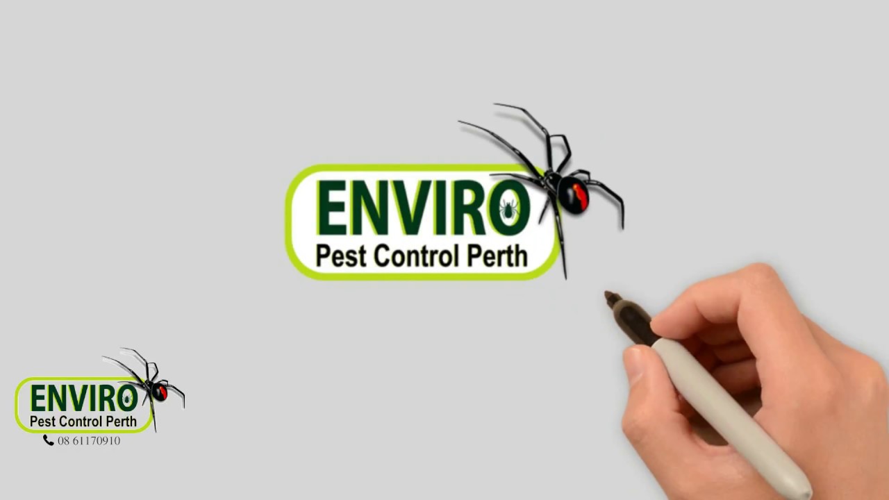 Whiteboard animation Video for Pest Control Company - YouTube