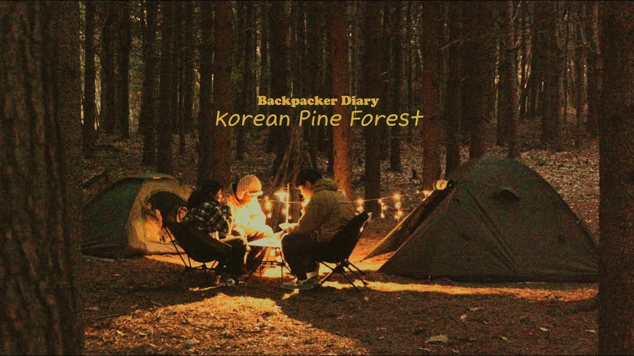 Backpacker Diary - 가을의 고요한 청도 잣나무 숲 백패킹 EP.4 - YouTube