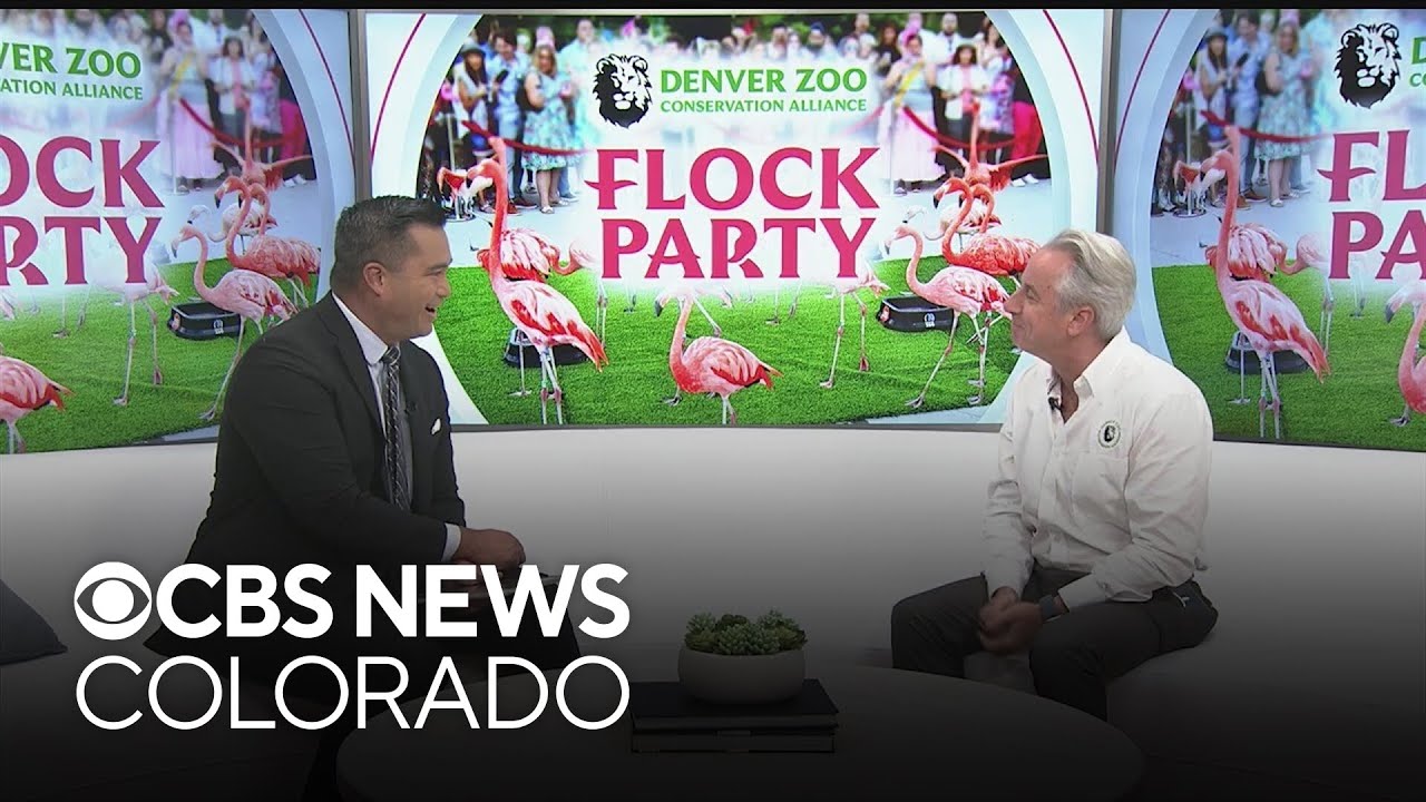 Denver Zoo Conservation Alliance hosts Flock Party fundraiser - YouTube