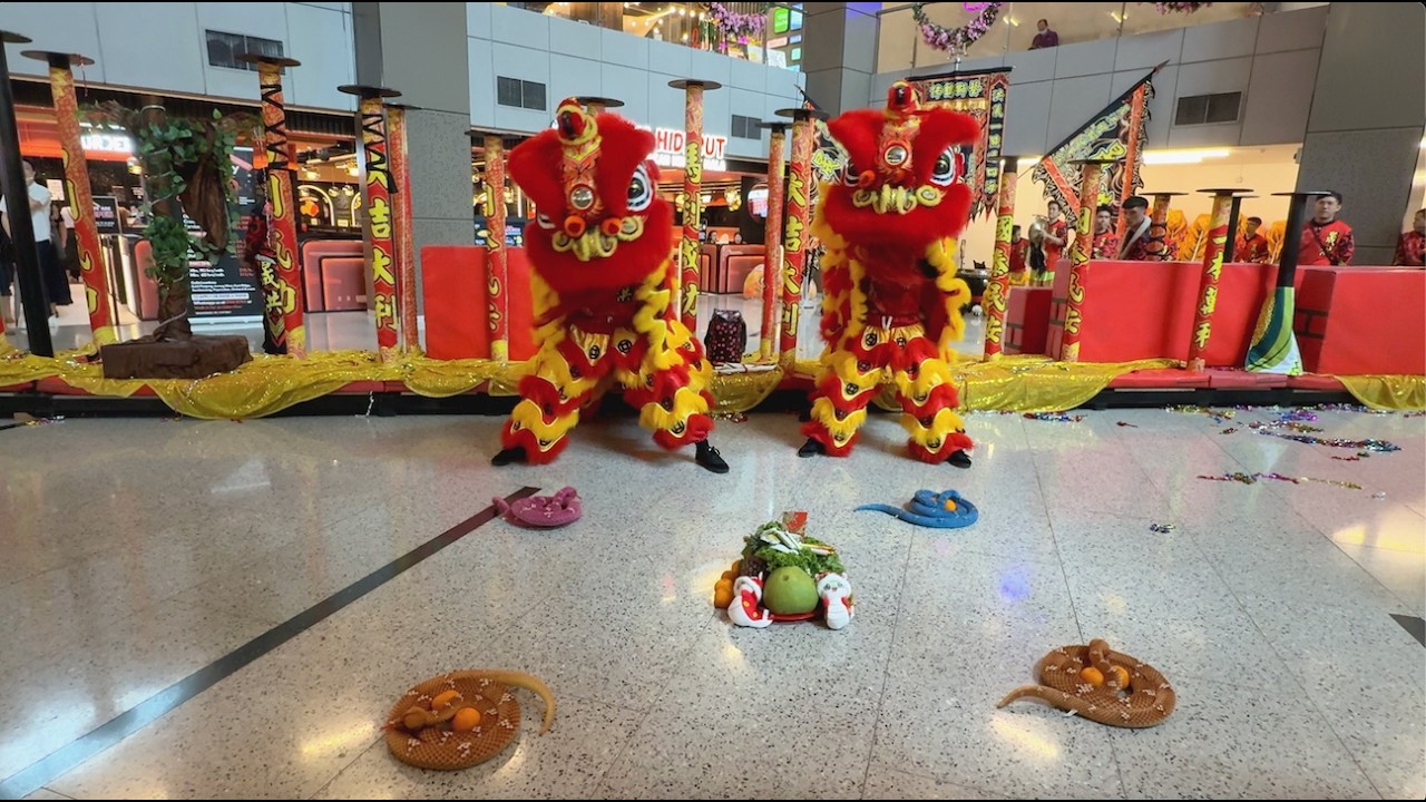 [4K] Twin Lions High Pole Lion Dance, Snake Dance at Cineleisure by ...