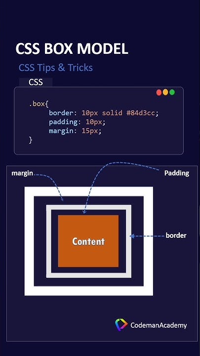 🚀 learn CSS box model in 30 sec | html css tutorial - YouTube