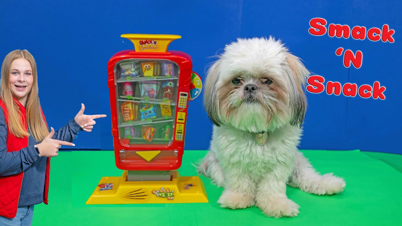 Assistant Play the Game Smack N Snack with her Dogs Wiggle Waggles and ...