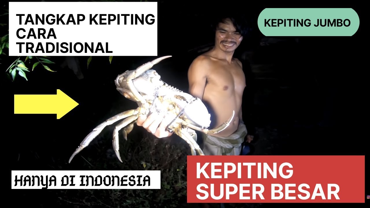 TANGKAP KEPITING MONSTER CARA TRADISONAL- Cara Tangkap Kepiting Di Laut ...