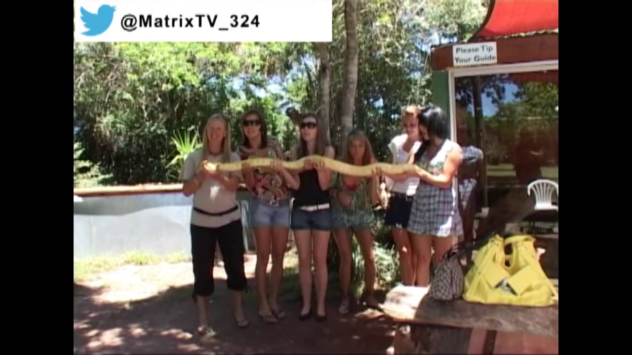 Jakkie Louw & John Henry Opperman - Matrix - YouTube