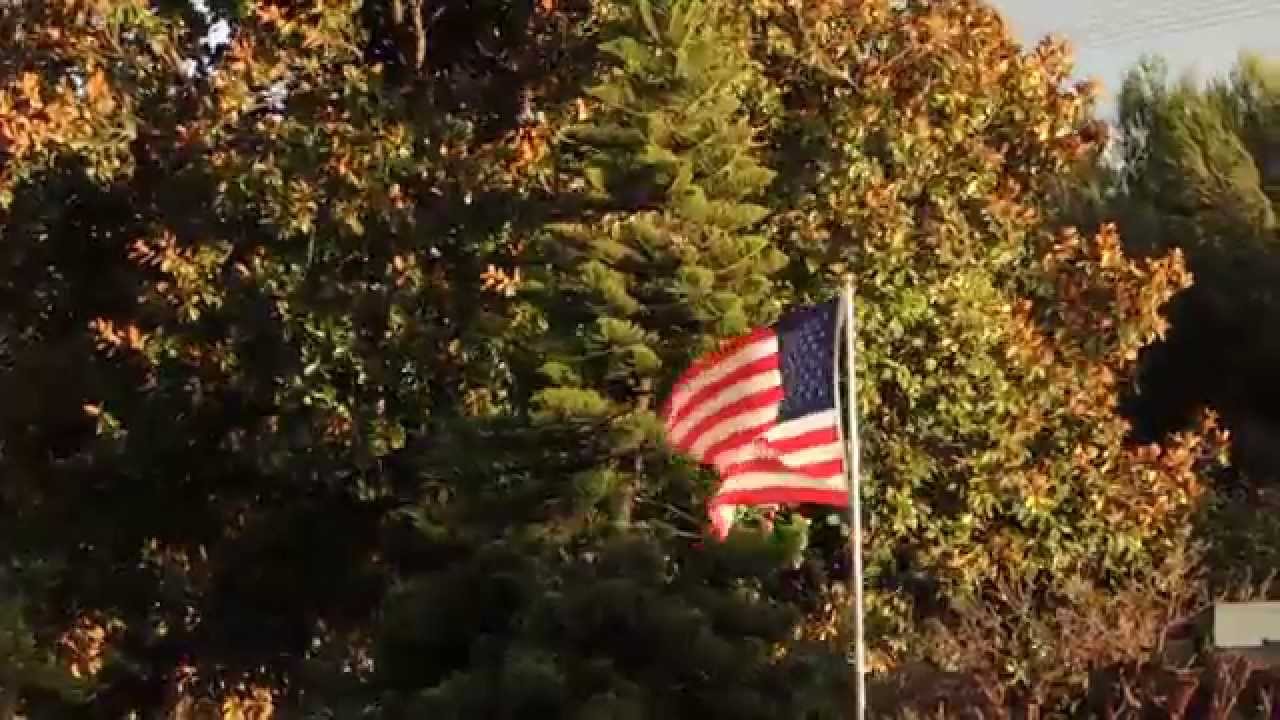 Nikon Coolpix P7700 Example Video Footage: Sun/Wind/Flare