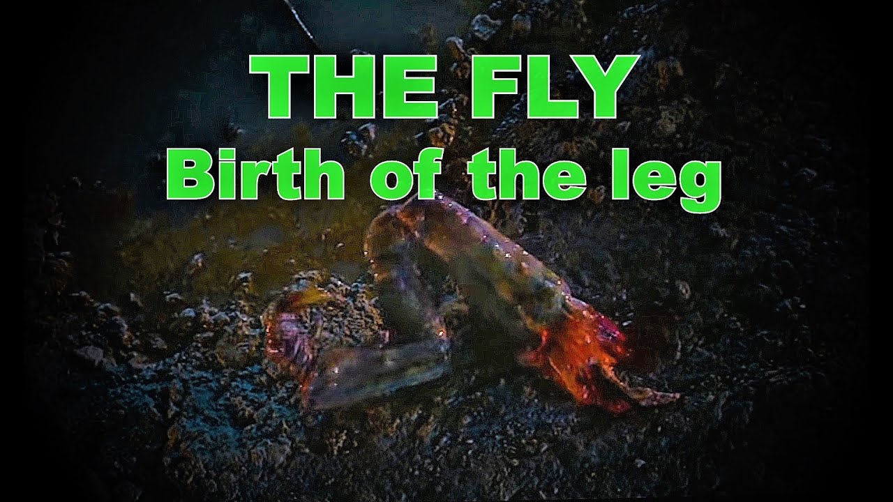 The Fly (1986) - Birth of the leg - YouTube