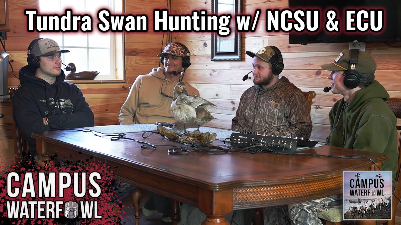 Tundra Swan Hunting in North Carolina with NCSU & ECU Ducks Unlimited ...