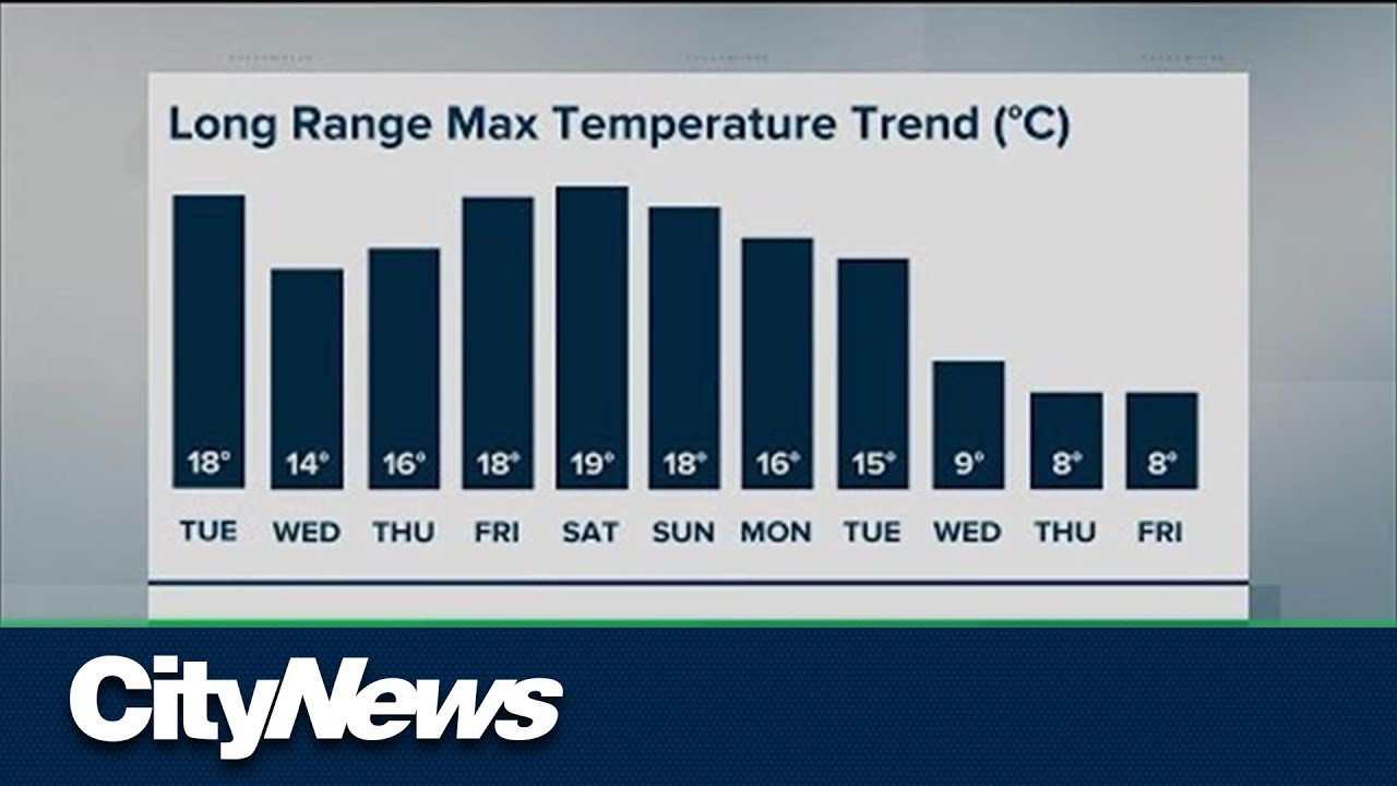 Mild temperatures story of the week - YouTube