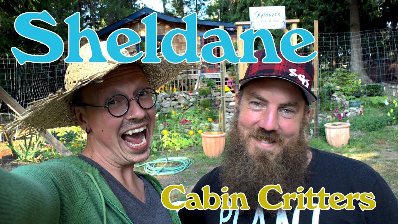 Cabin Critters - YouTube