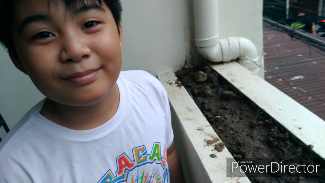 Planting - HELE Project - YouTube