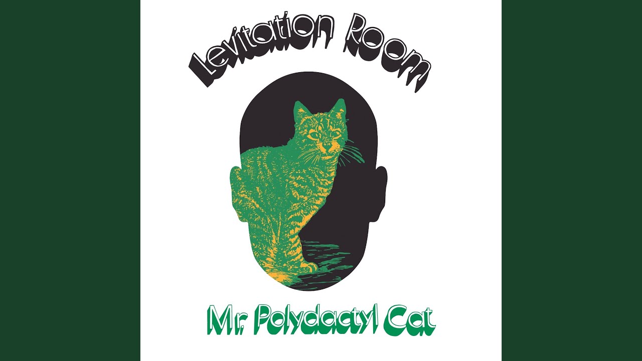 Mr. Polydactyl Cat - YouTube Music