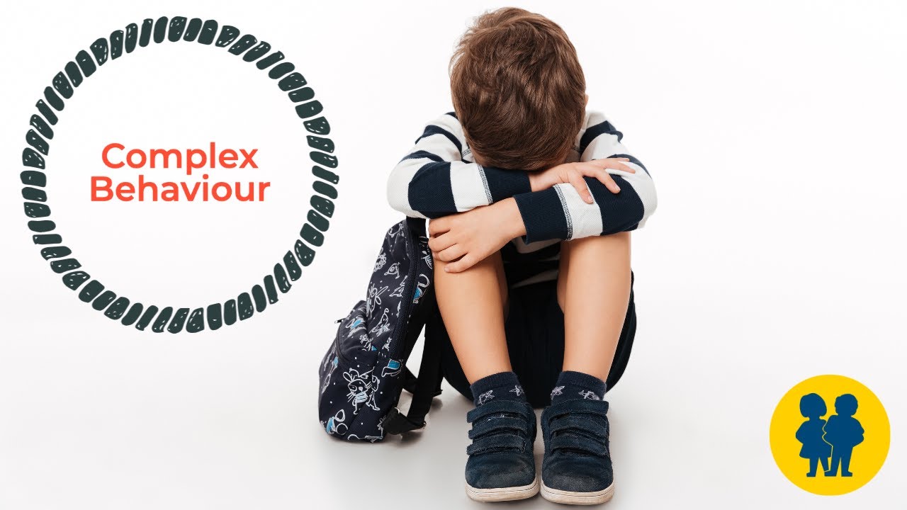 Complex Behaviour Presentation for Educational Assistants - YouTube