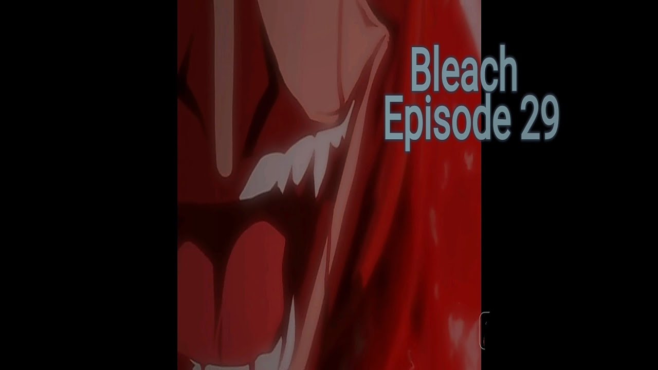 Bleach Season 2 Episode 29.Breakthrough! The Shinigami's Encompassing ...