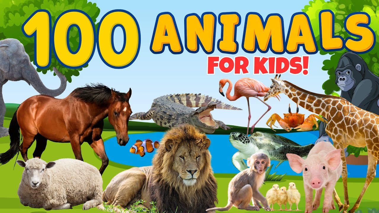 100 Awesome Animals for Kids! | Lear Sea, Safari, Jungel & Farm Animals ...