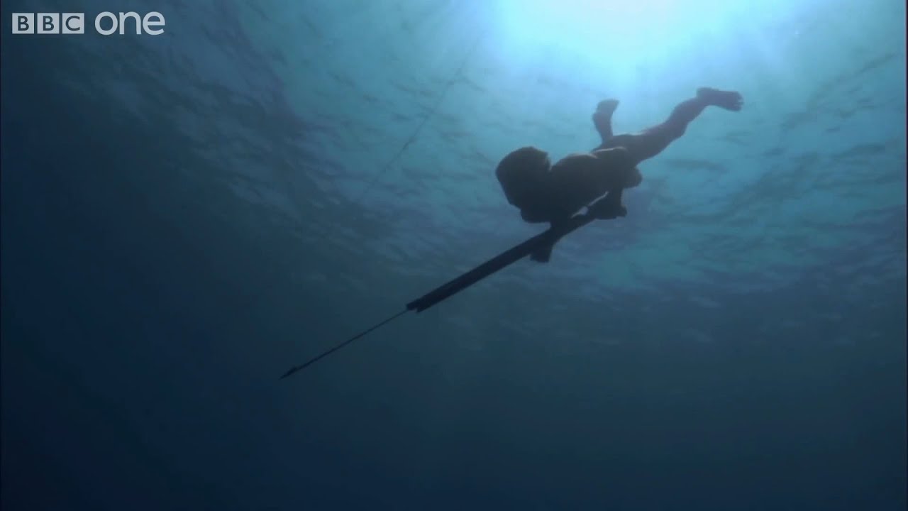 BBC, Filipino Diver from the Bajau Tribe - Buceador Filipino de la ...