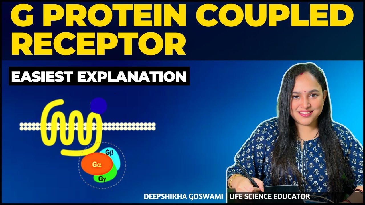 GPCR Complete Details | Easiest Explanation | Cell signaling | GEF ...