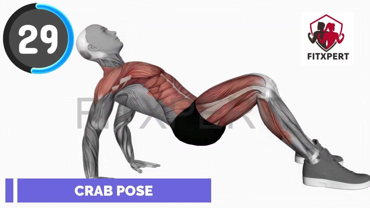 PROPER EXERCISES FOR MEN POWER, PELVIC FLOOR MUSCLES - YouTube