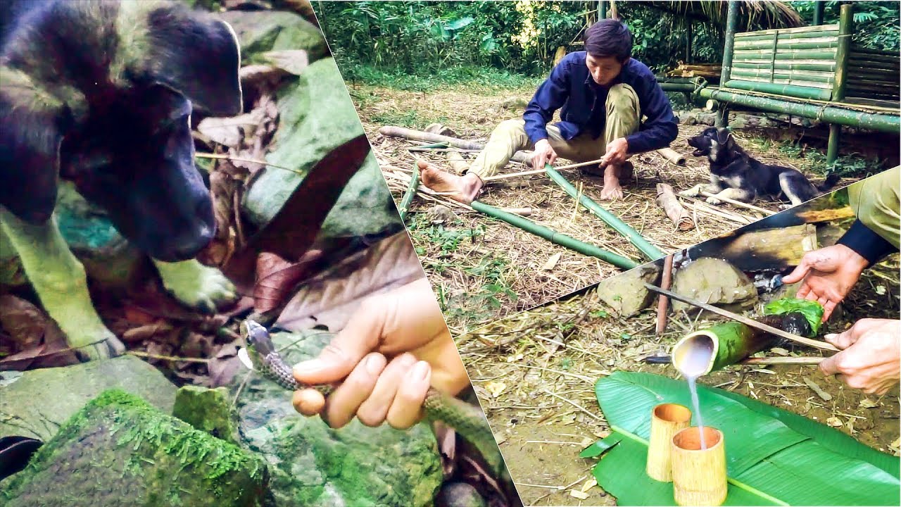 Jungle Survival Challenge [HD] | 6 Months Adventure: PART 3 - Survival ...