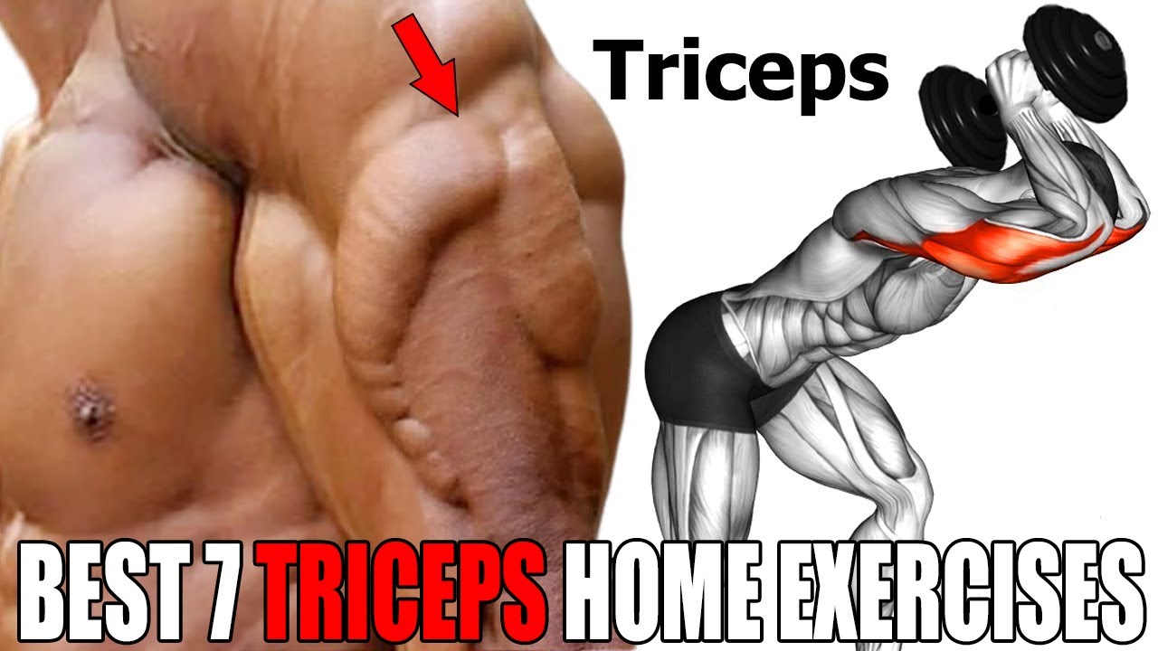 BEST 7 TRICEPS EXERCISES AT HOME 🔥🔥🔥 - YouTube