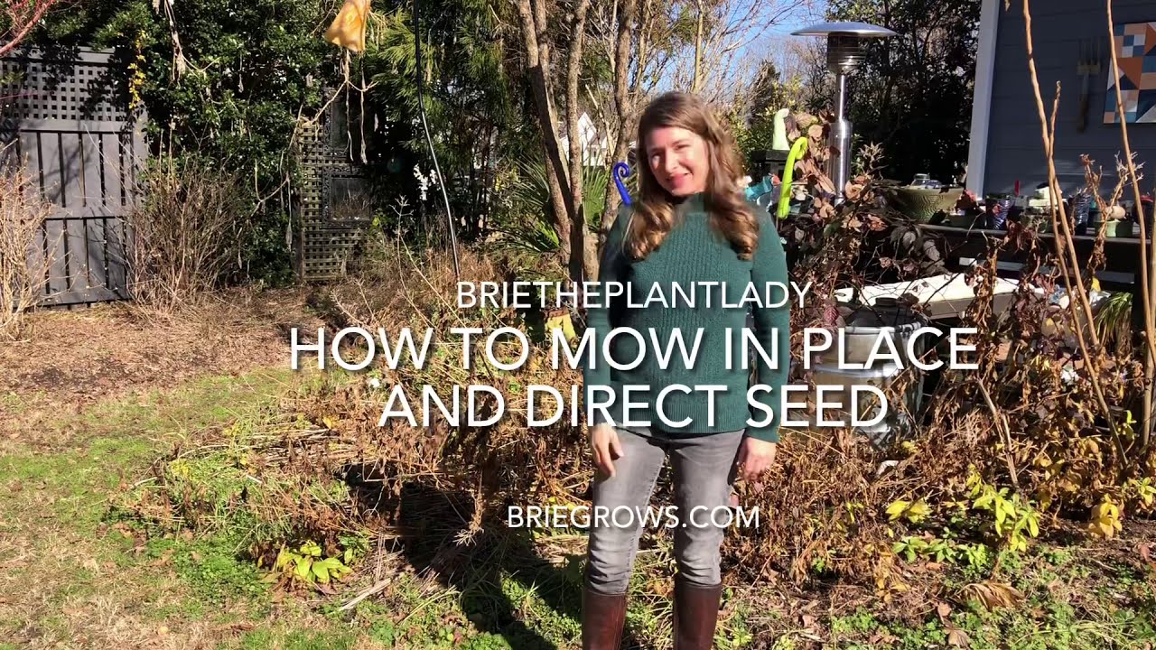 How to do the “mow in place” method and direct seed in January - YouTube