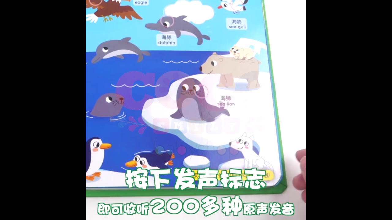 Buku Anak English Mandarin ANIMALS Sound Book - YouTube