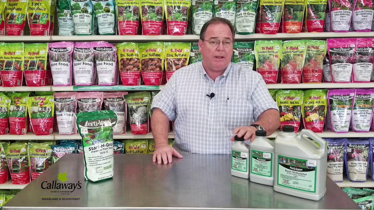 How to Use Root Stimulator - YouTube