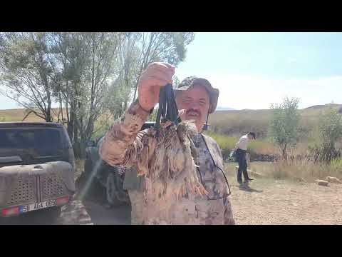 BILDIRCIN AVI -2026 -2027 AV SEZONU - SHOTKAM GEN4 - BROWNİNG GOLD FUSİON - DJI OSMA ACTİON 6