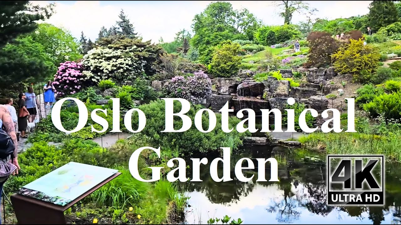 Oslo Botanical Garden, Norway [Captions 🎧 Immersive] [4K] - YouTube