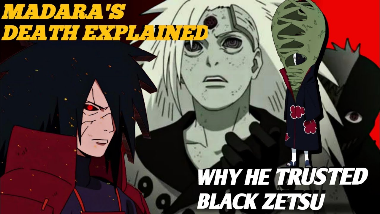 Madara’s Death Explained! Why He Trusted Black Zetsu 😢 / Naruto Hidden ...