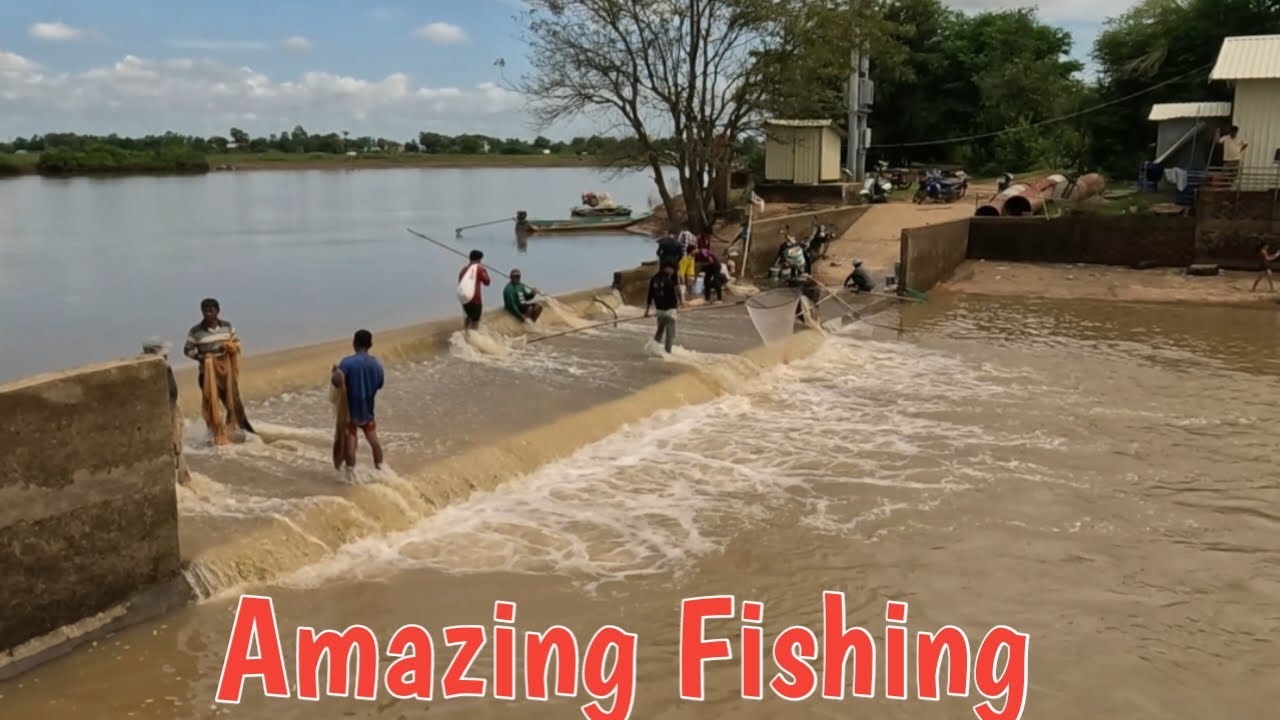 A cast net fishing traditional trap in the village. - YouTube