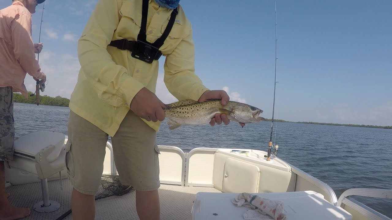 Shallow Water Florida Trout Fishing - YouTube