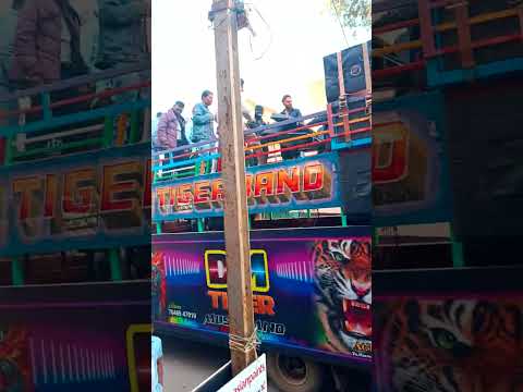 🔥DM TIGER 🐅 BAND 🔥 SUPER TIMLI NEW - YouTube