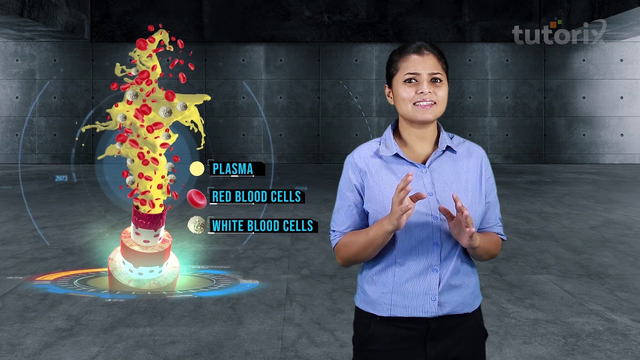 Tutorix Class 7 - Blood and blood vessels | Biology | The Best Learning ...