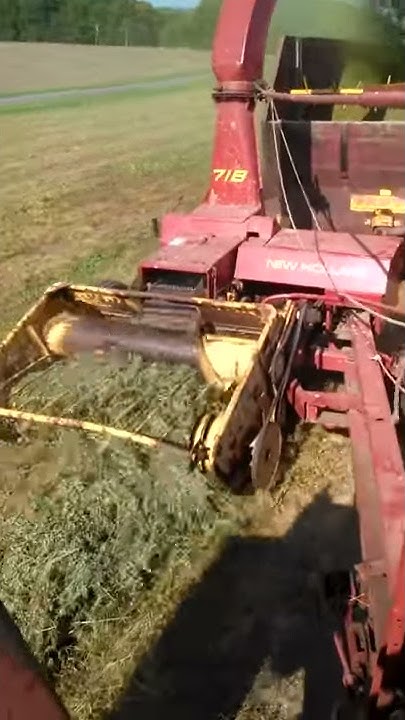 Chopping 1st cutting Alfalfa - YouTube