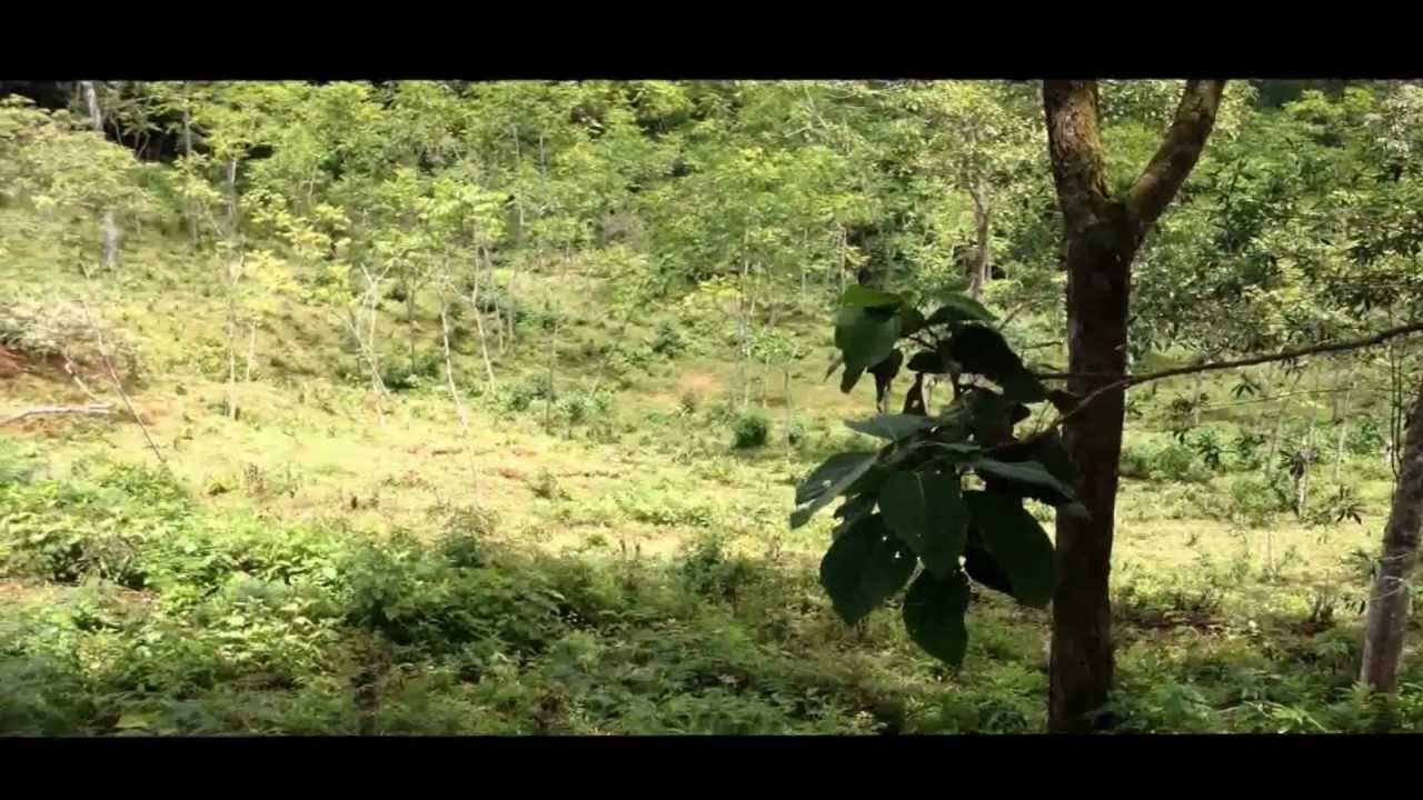 Video 110 Acres Development Land in the Center City - YouTube