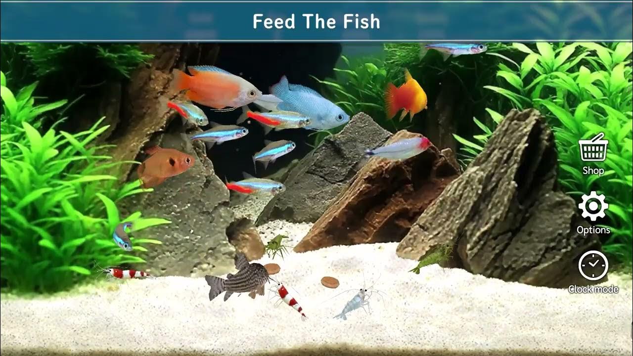 Tropical Fish Tank Simulator: Mini Aqua - YouTube