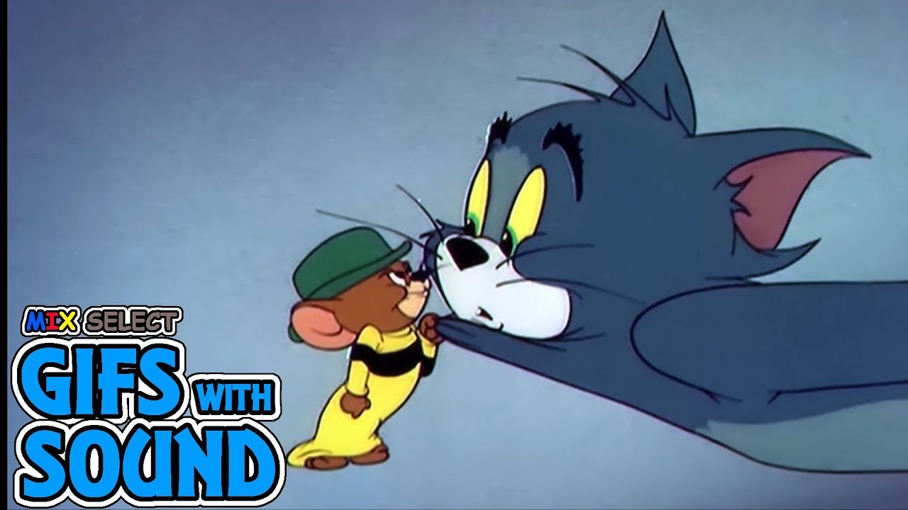 Gifs With Sound Compilation #51 | Mix Select - YouTube