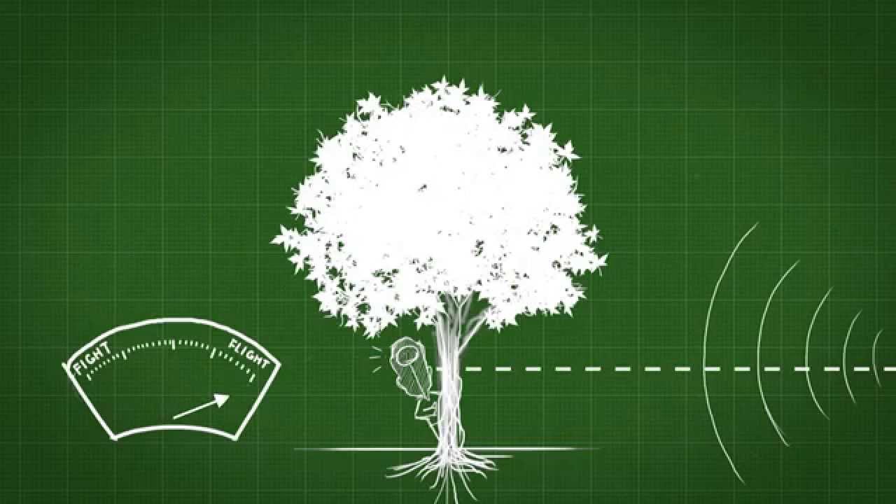 How indoor sound environments affect people - YouTube