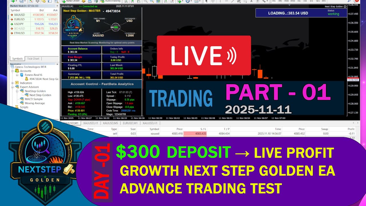 $300 Deposit → Live Profit Growth 📈 | Next Step Golden EA #01Advance ...
