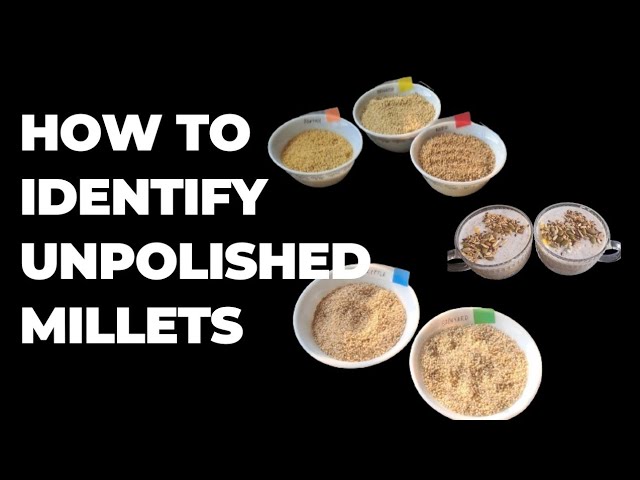 Unpolished Millets Organic Foxtail Millet | Unpolished Siridhanya