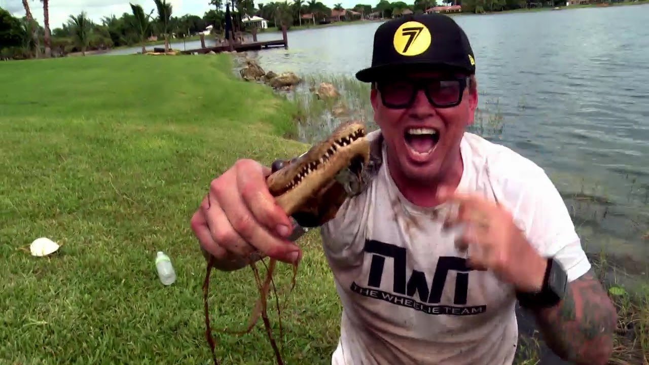 Docks and Crocs - YouTube