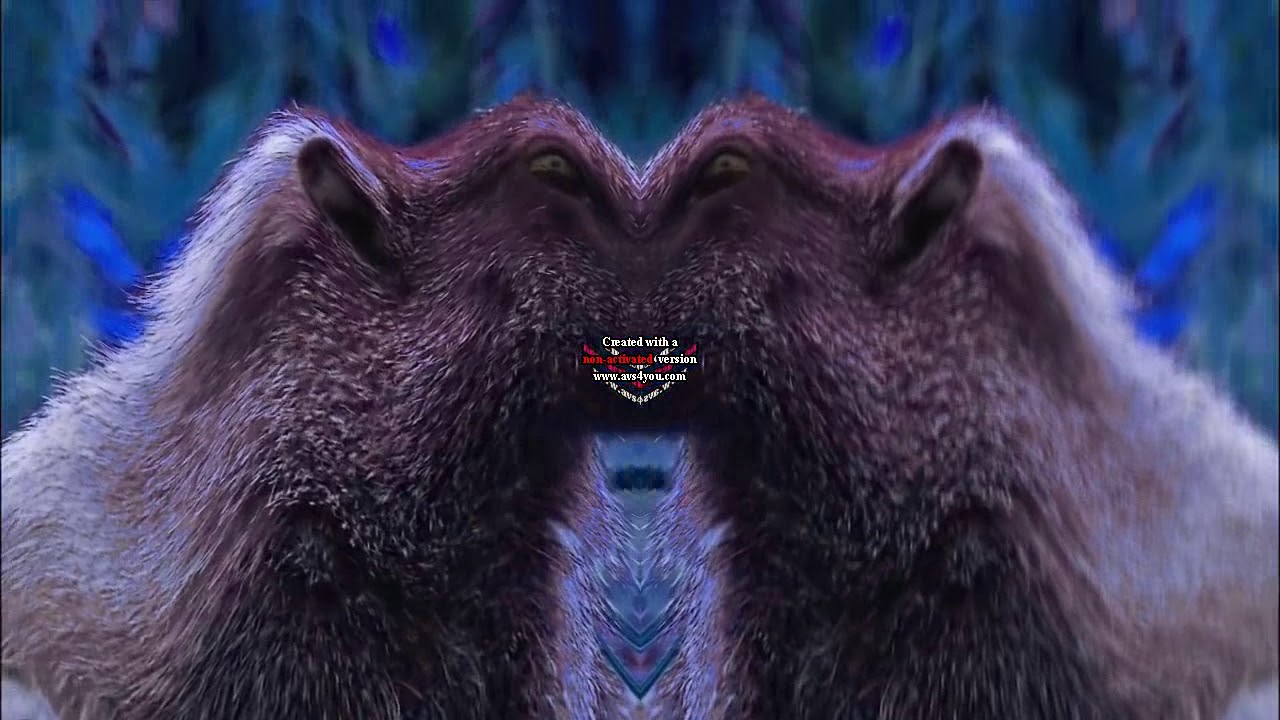 wildlife in dry wave mirror - YouTube