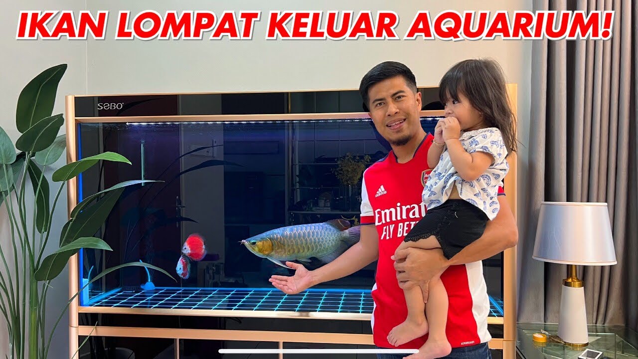 IKAN LOMPAT KELUAR AQUARIUM. MULUT TERKOYAK!😭 #GIVEAWAY - YouTube