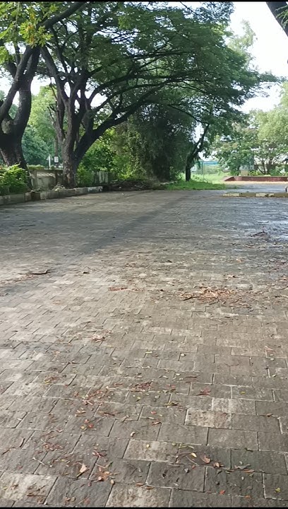 college day mini vlog #1🎀|#collegevlog #dayinmylife #minivlog - YouTube