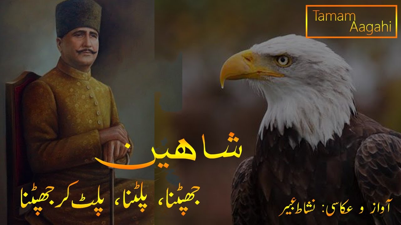Jhaptna, Palatna, Palat Kar Jhaptna | Shaheen | The Eagle | Allama ...